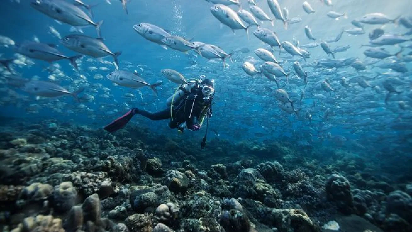Dive Training Tips: How to Vent Air from Your Scuba BC | Scuba Diving