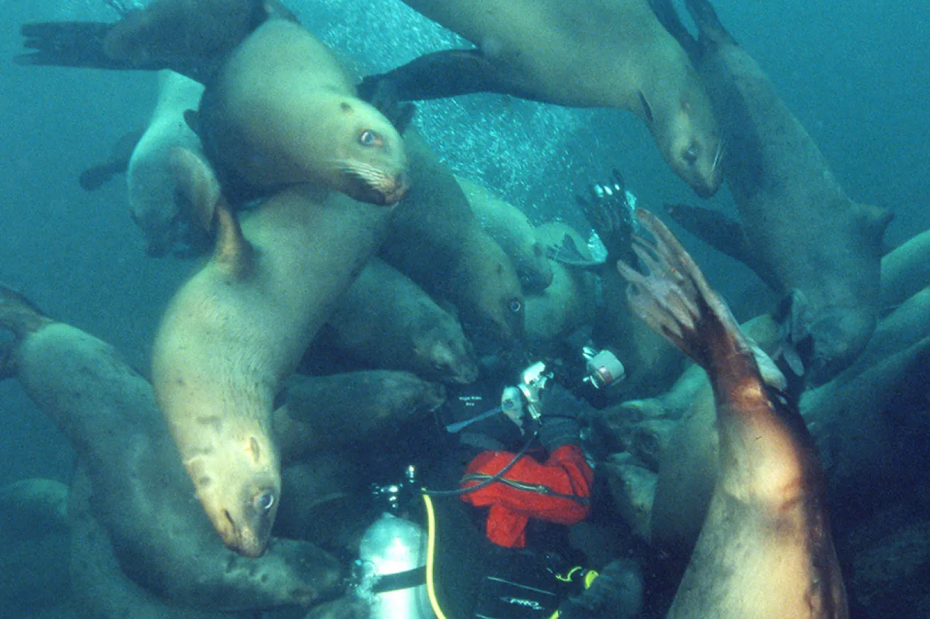 Behind the Shot | Scuba Diving