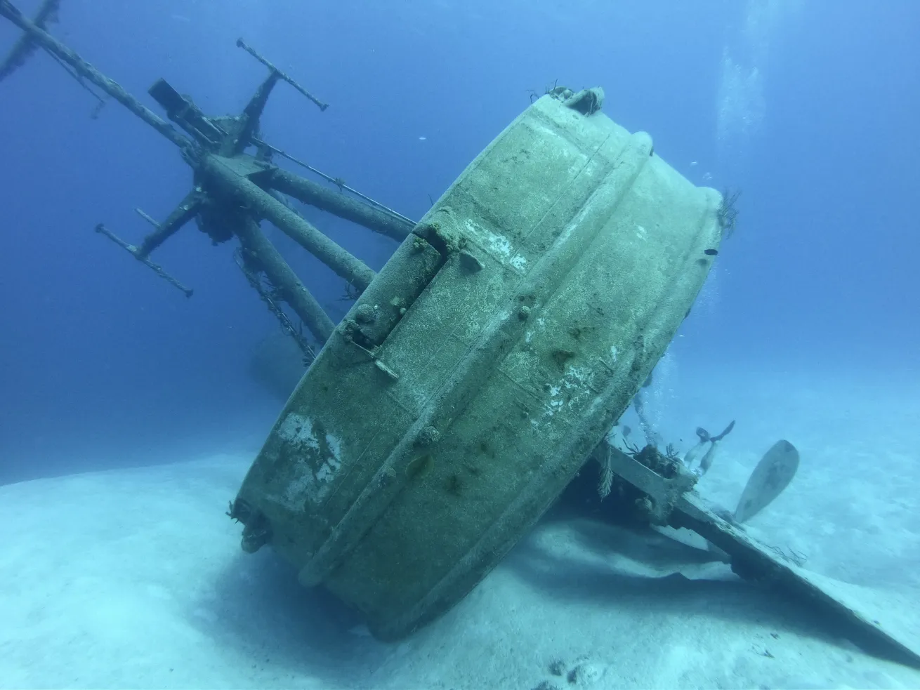 Why Grand Cayman is the Perfect Family Diving Destination | Scuba Diving