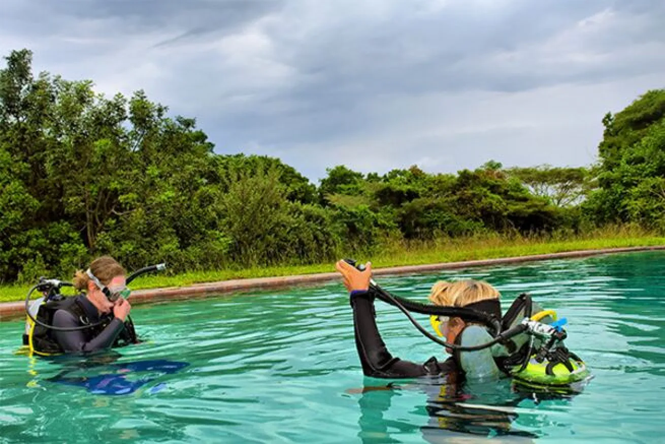 Learn to Dive: What You Need to Know about Learning to Scuba Dive ...
