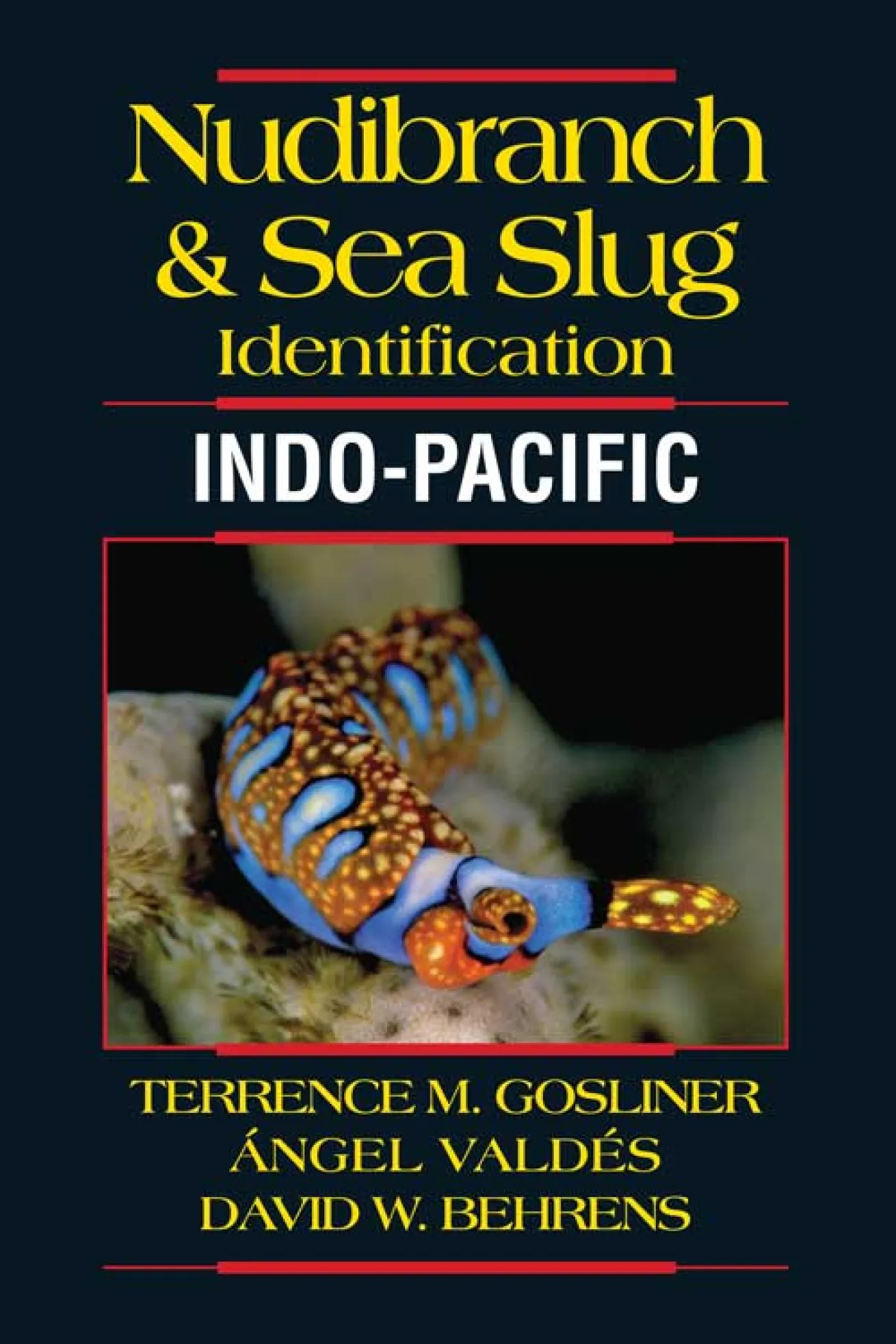 Two New Marine Life ID Books Released | Scuba Diving
