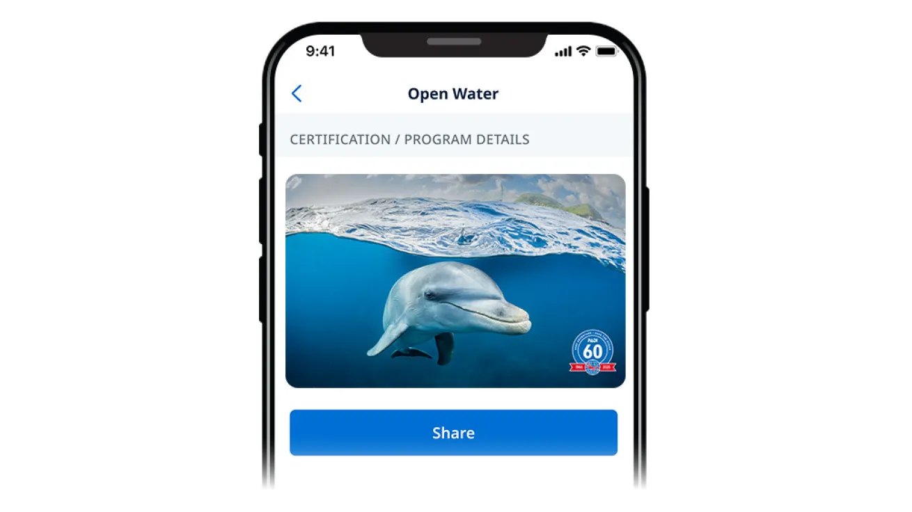PADI Releases New Limited Edition Certification Cards | Scuba Diving