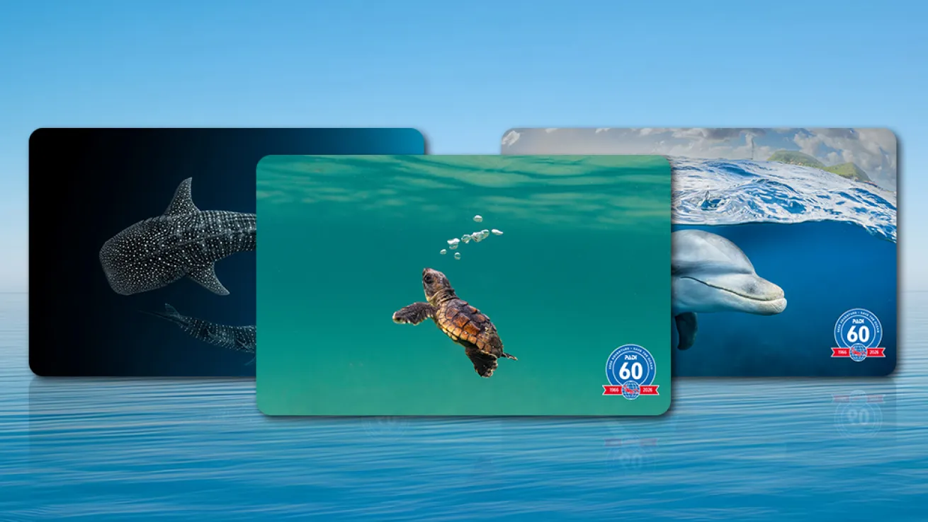 PADI Releases New Limited Edition Certification Cards | Scuba Diving