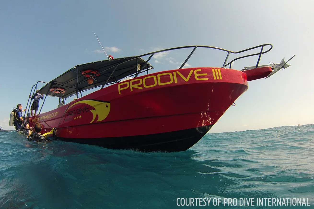 Pro Dive International Awarded Diving Company of the Year In the 2016 ...