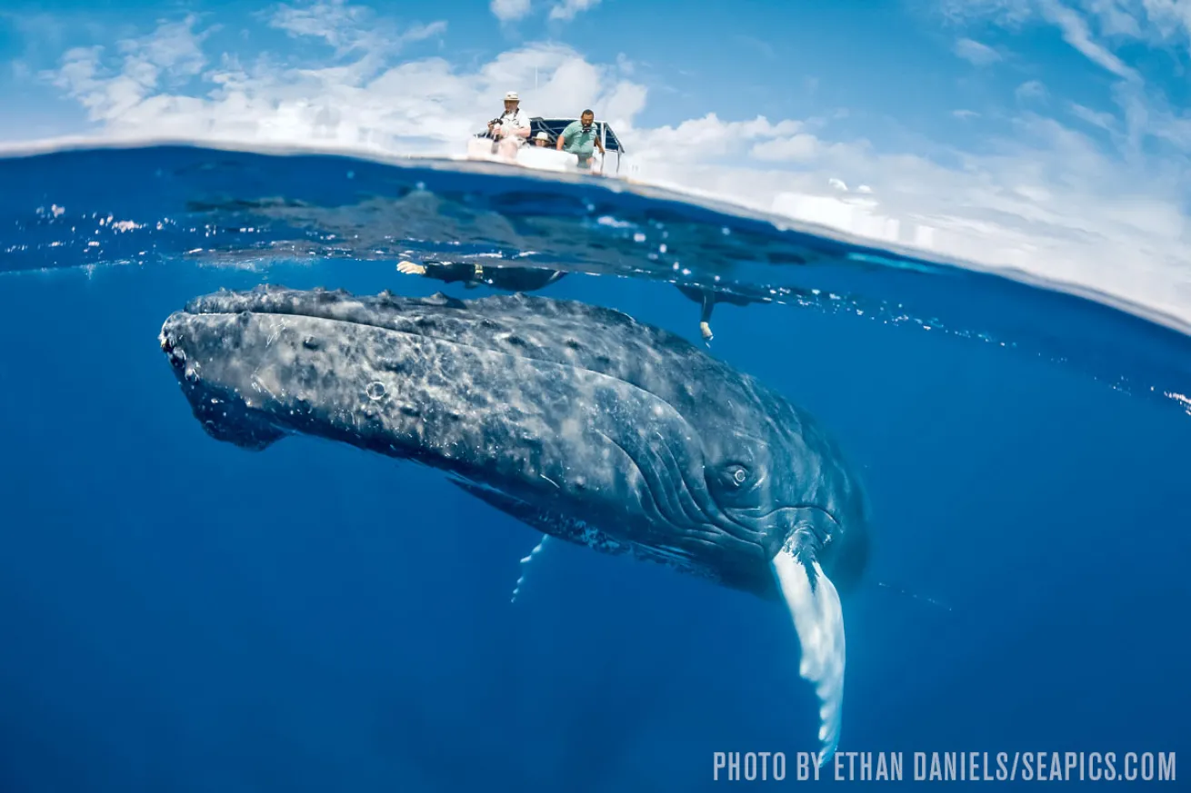 Sister Islands: Two for One Dive Trips | Scuba Diving