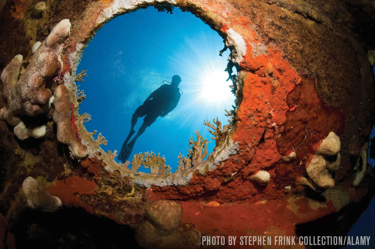 Sister Islands: Two for One Dive Trips | Scuba Diving