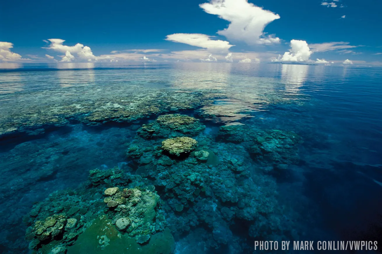 Sister Islands: Two for One Dive Trips | Scuba Diving