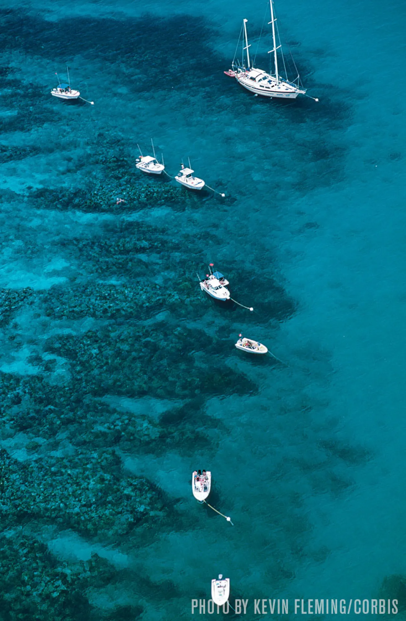 Wreck and Reef Diving in the Florida Keys | Scuba Diving