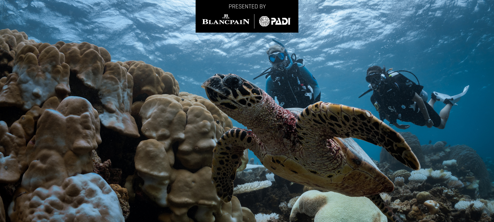 Sea Change | Scuba Diving