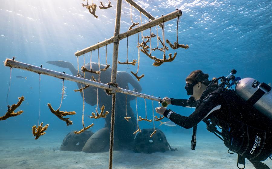 Flying After Diving: How Long Do Scuba Divers Have to Wait? | Scuba Diving