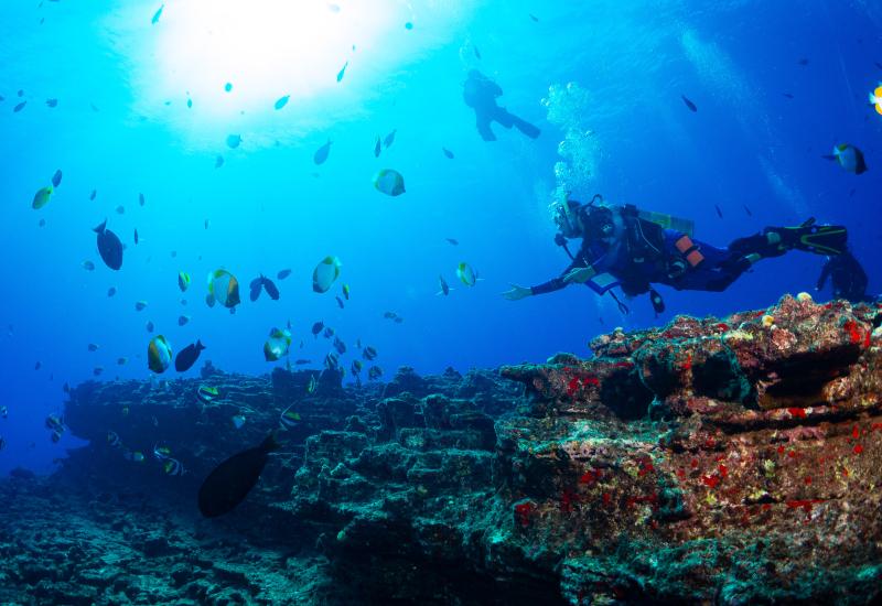 OFFICIAL RULES | Scuba Diving