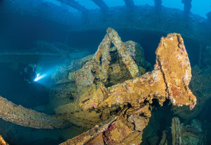 The Arenui | Scuba Diving