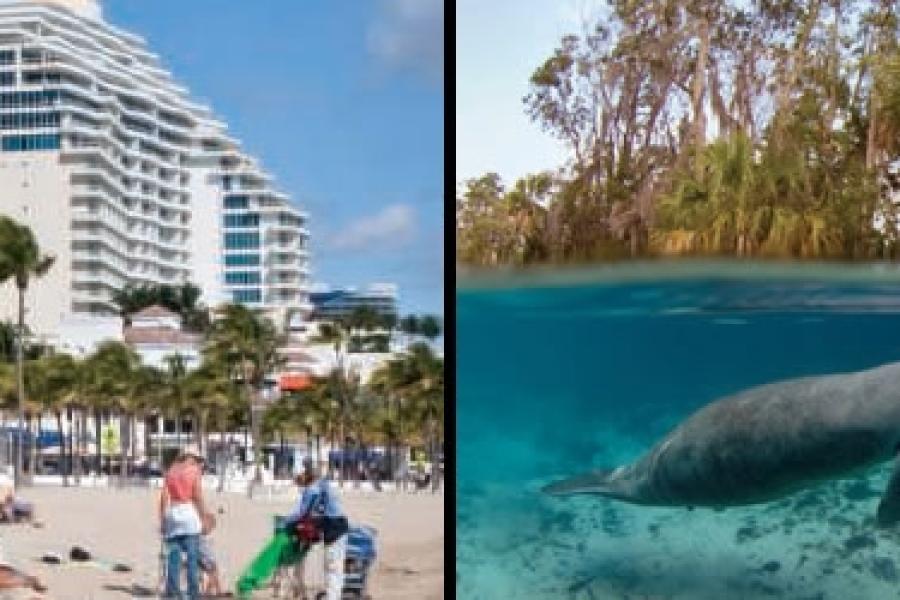 2010 World's Best Diving & Resorts: FLORIDA | Scuba Diving