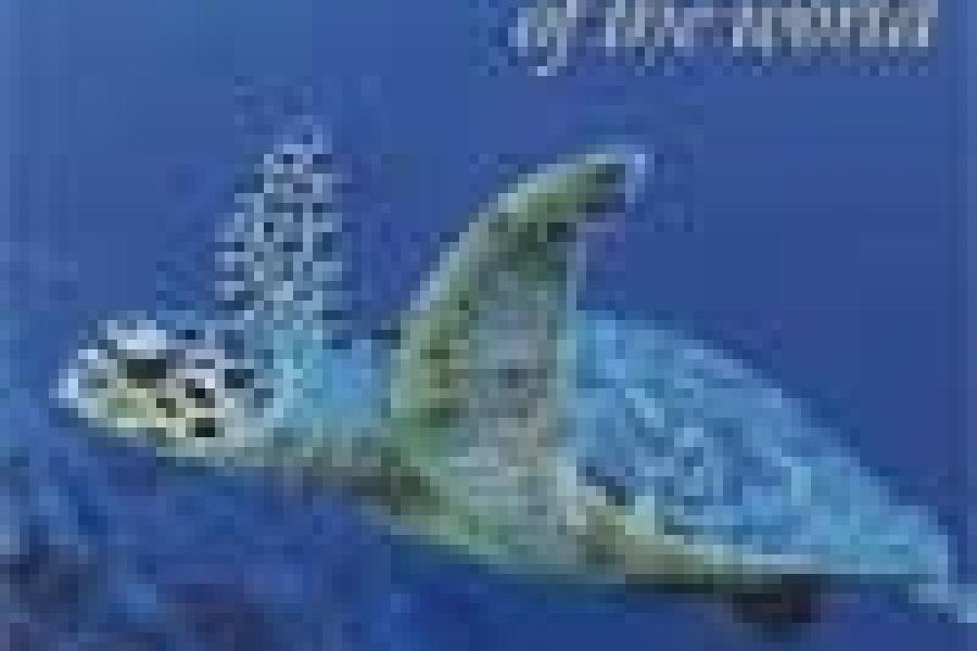Book Shelf | Scuba Diving