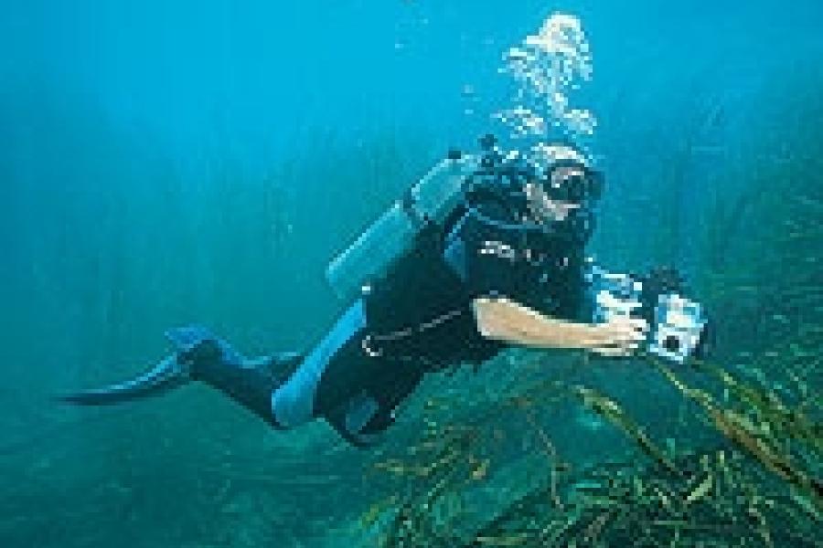 Reel Blue | Scuba Diving