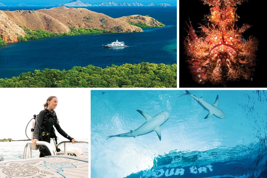 The Best Scuba Diving in the World | Scuba Diving
