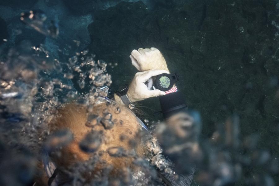 Best New Dive Computers Reviewed | Scuba Diving