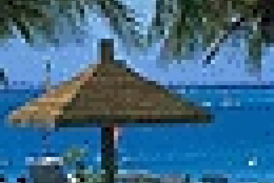 CLUB MED THEME WEEK RECAP | Scuba Diving