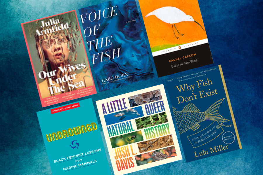 6 Marine-Themed Books That Celebrate Pride Month | Scuba Diving