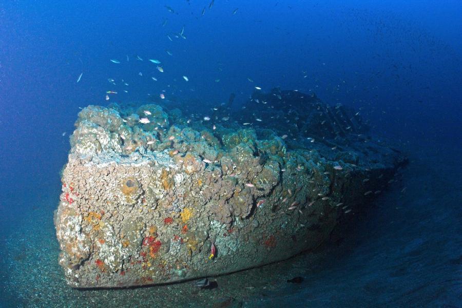 Guide to Diving Monitor National Marine Sanctuary | Scuba Diving
