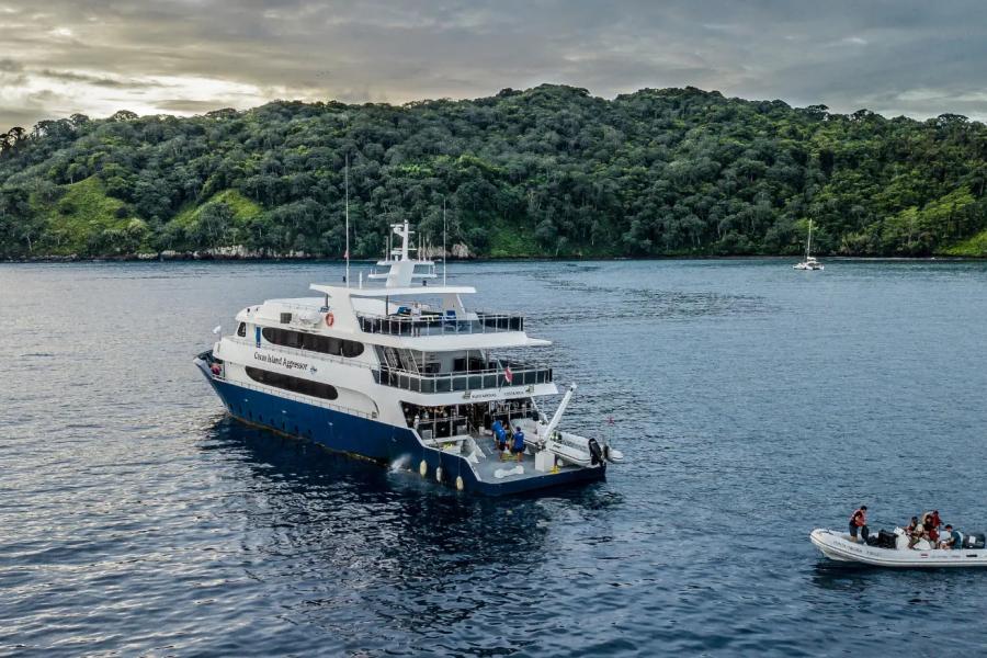 5 Questions Advanced Divers Should Ask Before Booking a Liveaboard ...