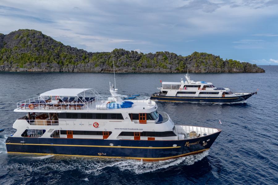 Mermaid Liveaboards | Scuba Diving
