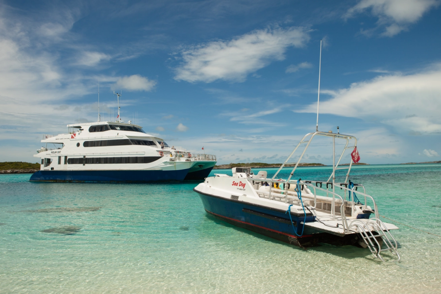 Life Aboard an All Star Bahamas Liveaboard: What to Expect | Scuba Diving