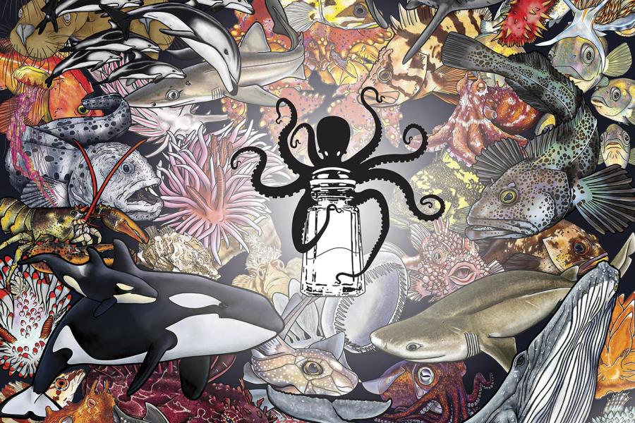 4 Conservation Artists You Should Follow | Scuba Diving