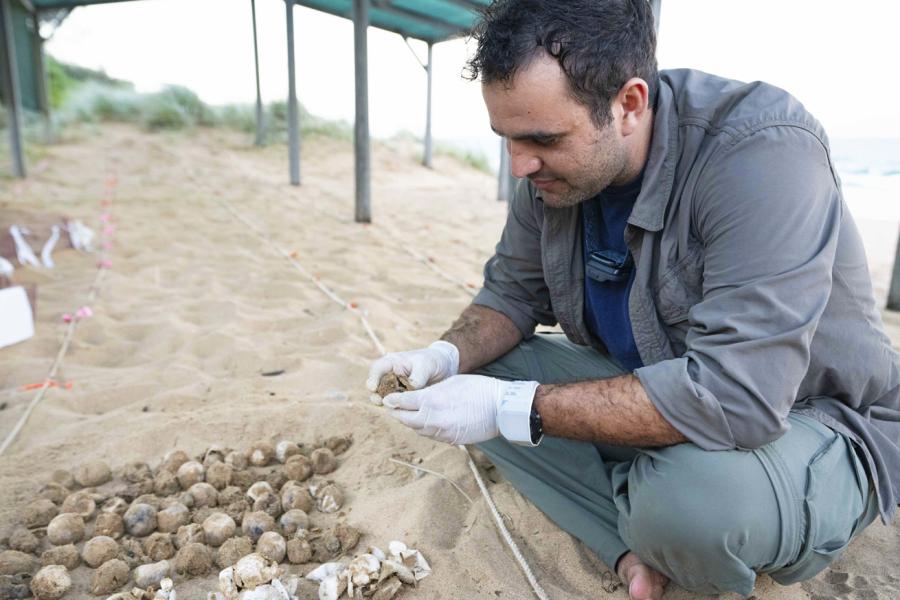 Scientists Test Techniques To Help Save Sea Turtle Nests | Scuba Diving