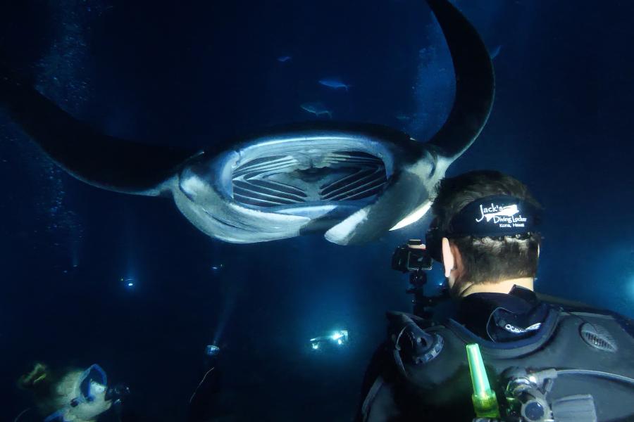 Jack’s Diving Locker, Big Island, Hawaii | Scuba Diving