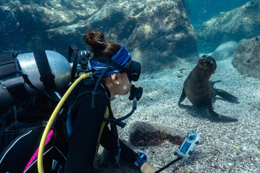 4 Mellow Dive Destinations Everyone Will Love | Scuba Diving