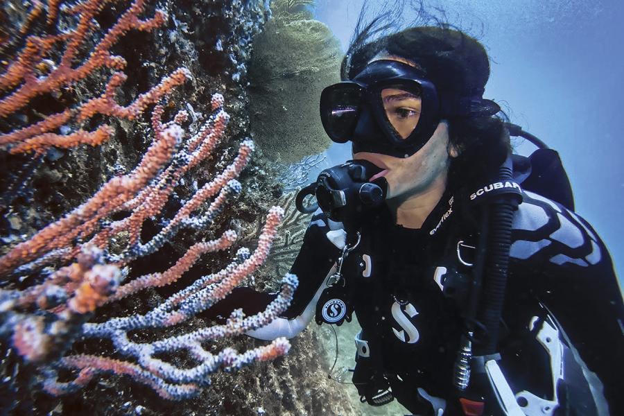 How to Launch a Dive Tech Startup | Scuba Diving