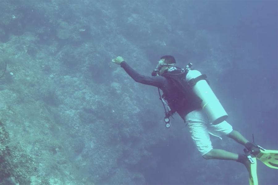 Scuba Diving in Belize at Pompion Wall | Scuba Diving