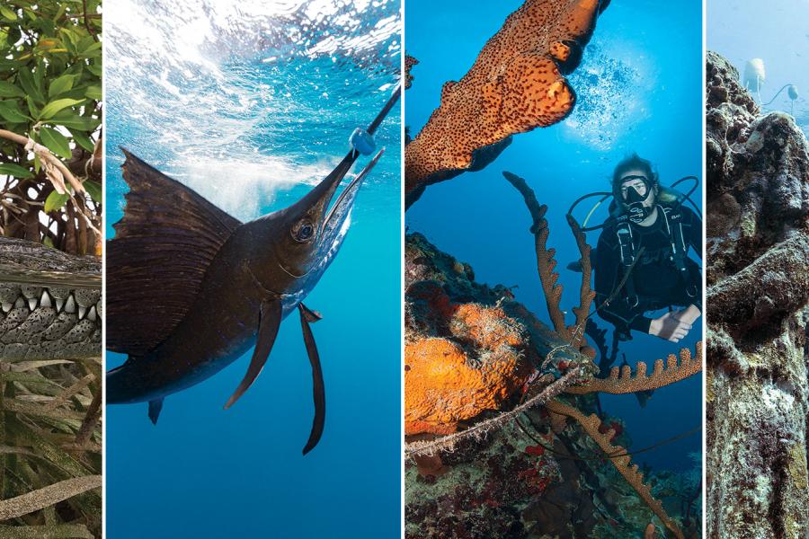 Best Scuba Diving Sites in the Caribbean and Atlantic | Scuba Diving