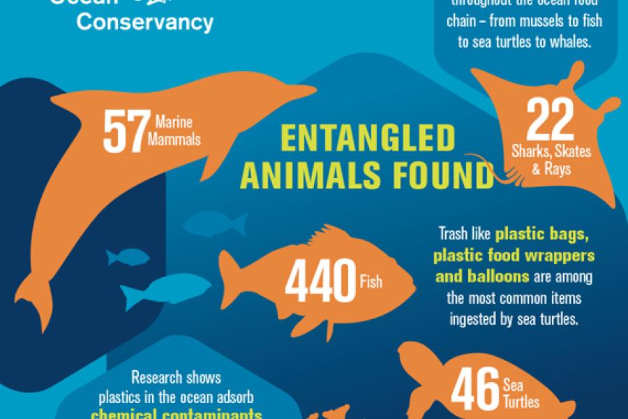 Celebrate Earth Day by Cleaning Our Oceans | Scuba Diving