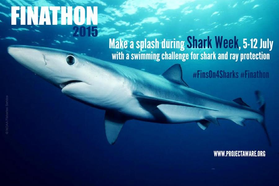 It's Time to Put Your #FinsOn4Sharks: Shark Week Is Here | Scuba Diving