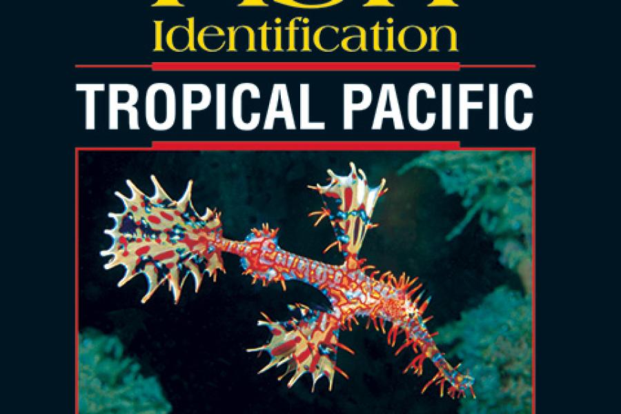 Two New Marine Life ID Books Released | Scuba Diving
