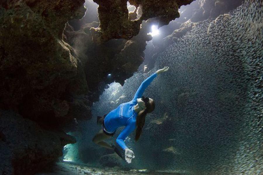 10 Featured Underwater Photos from Sport Diver's September Photo ...
