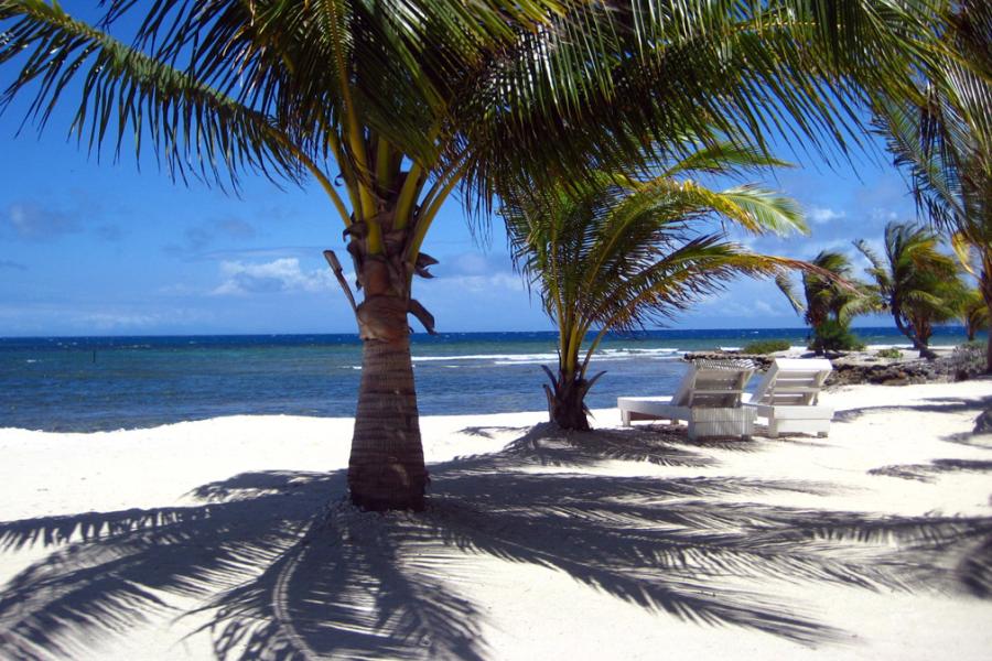 Ultimate Utila Dive Resorts: Laguna Beach Resort | Scuba Diving