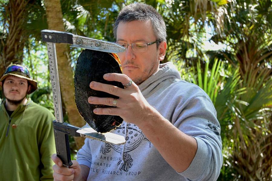 Conservation Spotlight on North American Freshwater Turtle Research ...