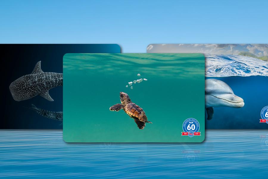 PADI Releases New Limited Edition Certification Cards | Scuba Diving