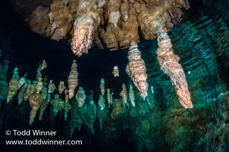 Underwater Photography: How to Shoot Reflections | Scuba Diving
