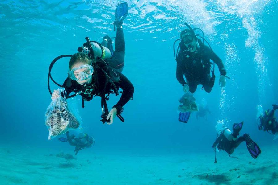 Georgia Tech Scuba Club Helps Clean Up Bonaire with Project AWARE ...