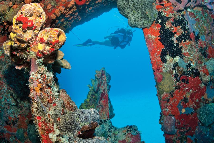 2014 World’s Best Diving & Resorts: U.S. Virgin Islands | Scuba Diving