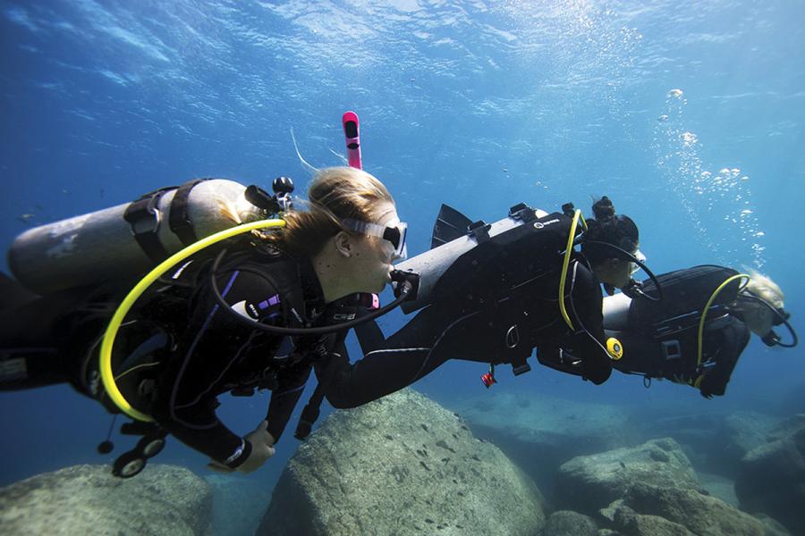 How the PADI Divemaster Course Can Change Your Life | Scuba Diving