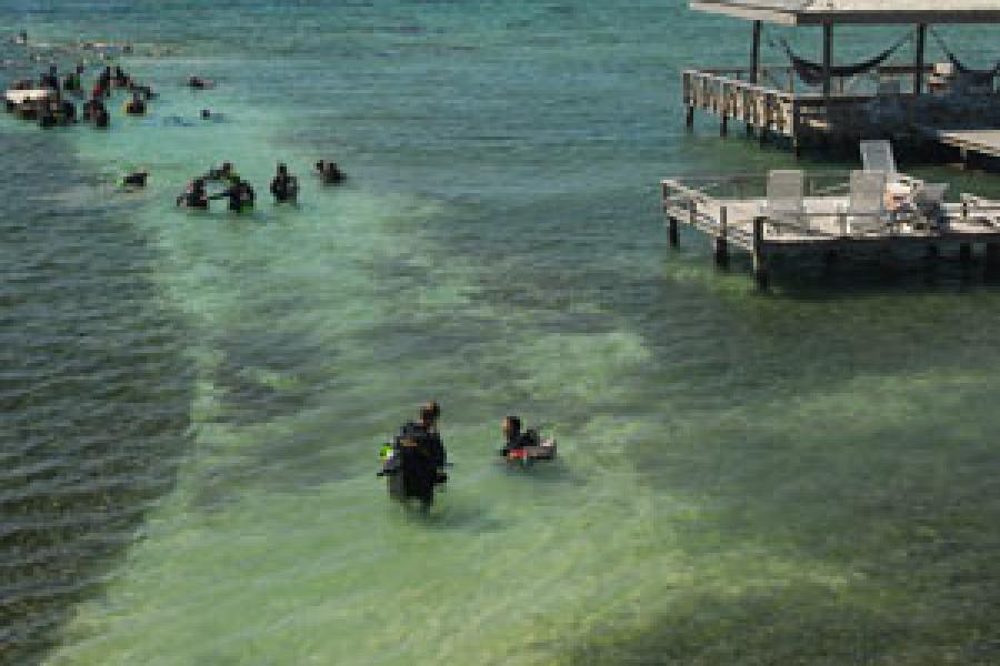 7 Steps to Hassle-Free Beach Diving | Scuba Diving