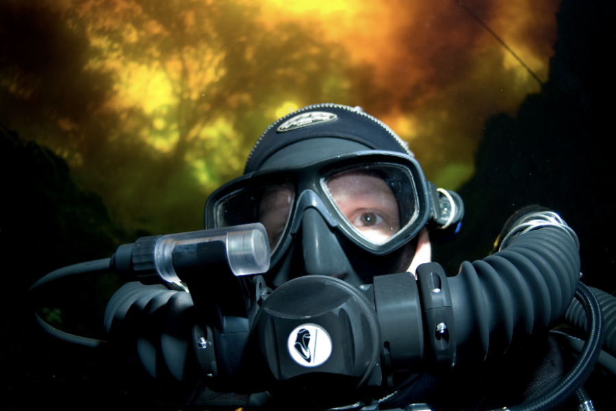 Jim Bowden Diver