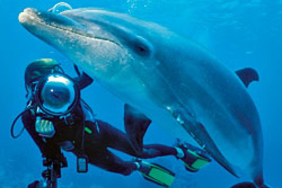 What the Pros Shoot | Scuba Diving