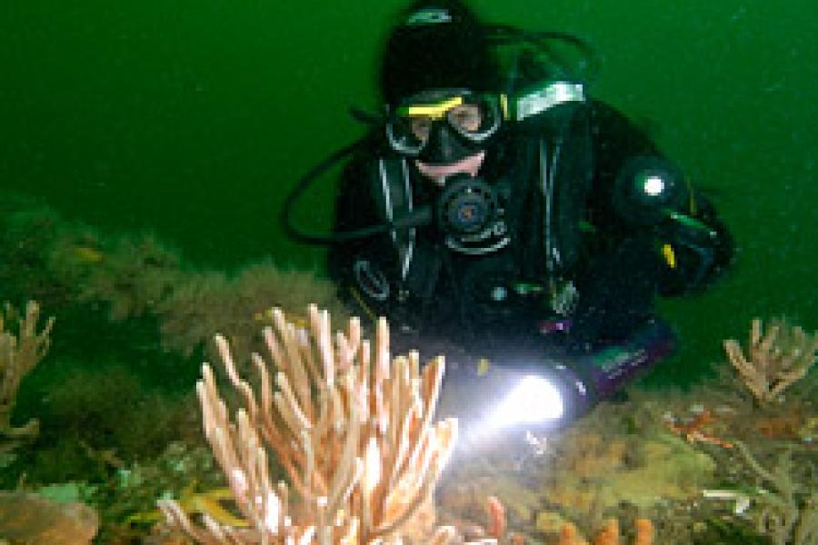 Still on Her Keel: The Legacy of the Chester Poling | Scuba Diving