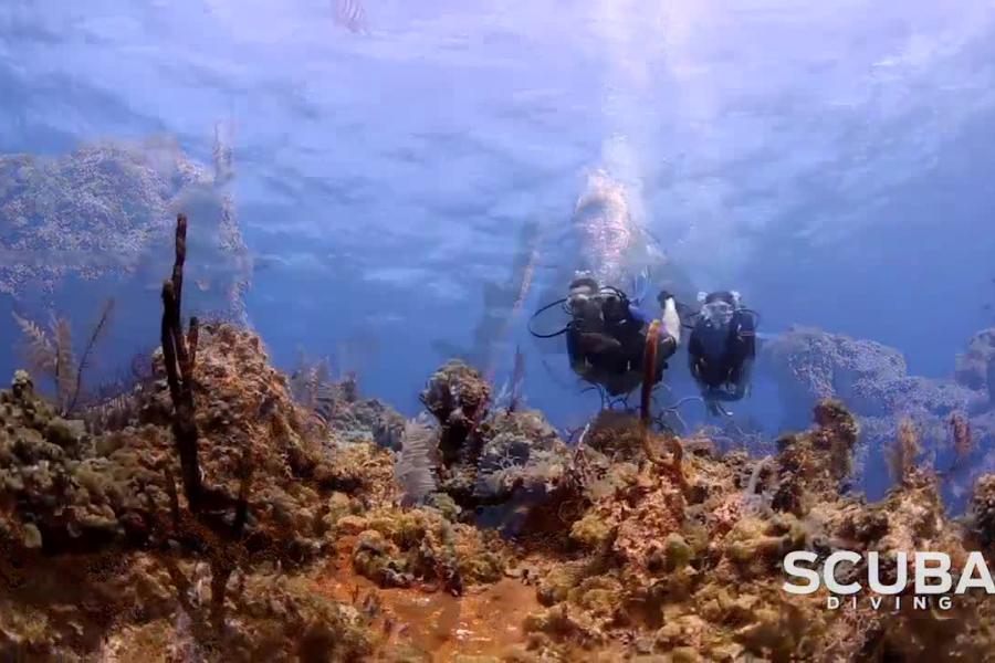 Aboard Blackbeard Cruises: Cave Rock | Scuba Diving